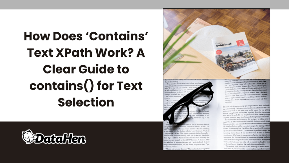 XPath Contains Text Not Working? A Step-by-Step Fix Guide
